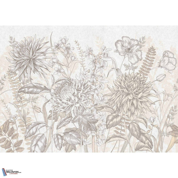 Wildflowers 7 Wallpaper Free Sunset Wildflower Meadow Image | Download